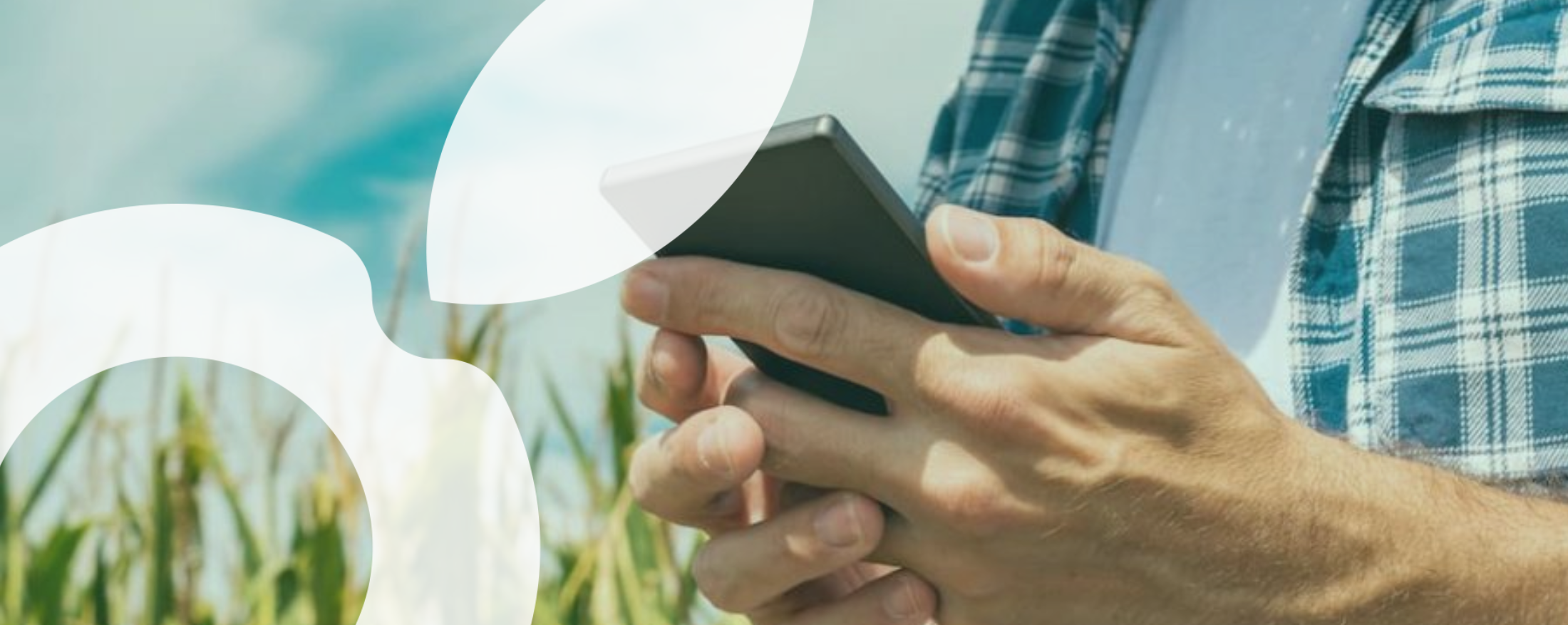 Le smartphone : l'outil incontournable pour piloter votre irrigation