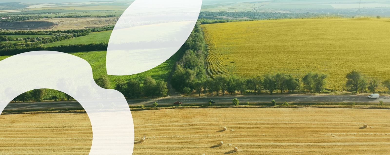 CEPP: des actions pour réduire les produits phytosanitaires